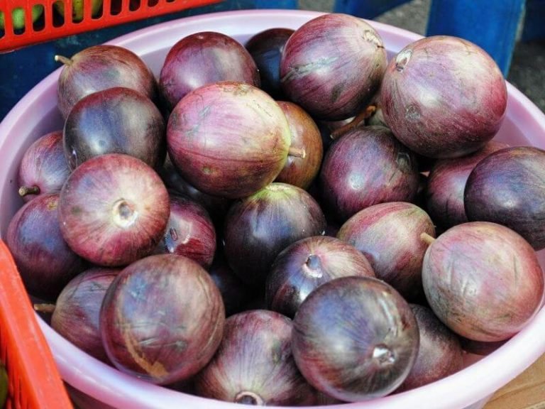 7 Star Apple Health Benefits (+2 Dangerous Side Effects) - Beat Diabetes